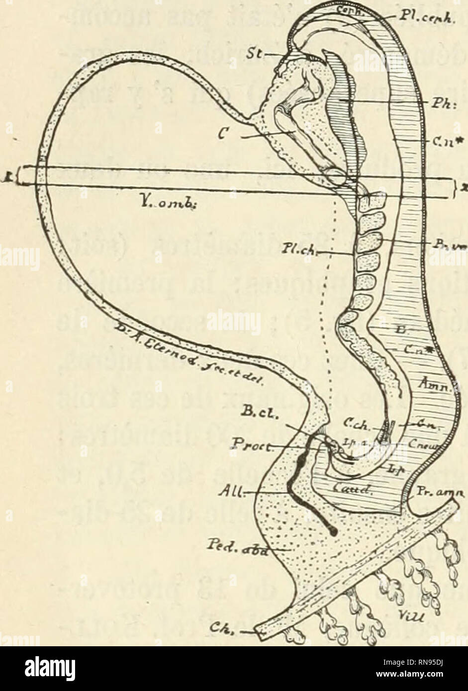 Ligne de coloration hi-res stock photography and images - Alamy