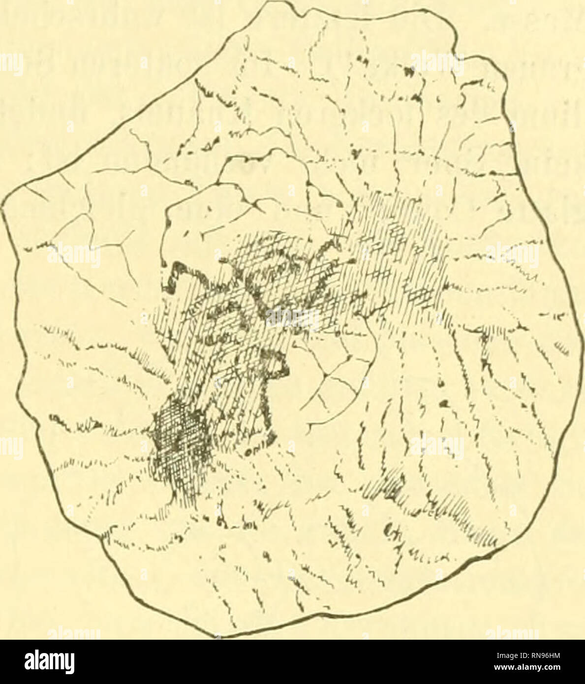 Ganze serie hi-res stock photography and images - Alamy