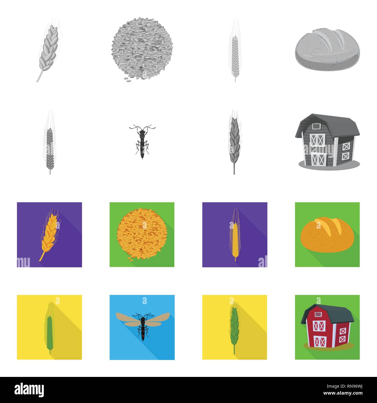spring,bread,fly,granary,spike,seeds,winter,insect,building,durum,crop ...