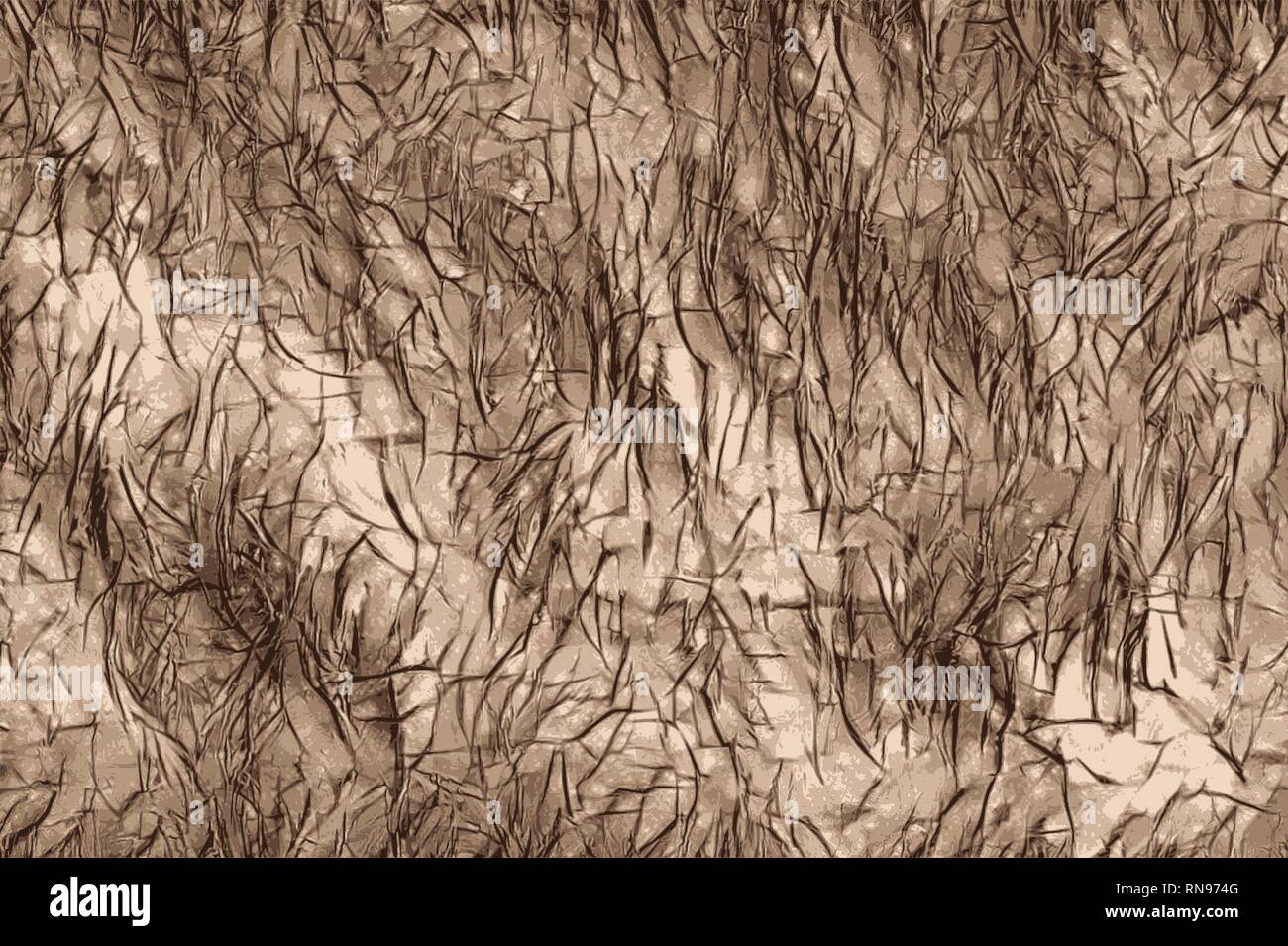 Rough hair hi-res stock photography and images - Alamy