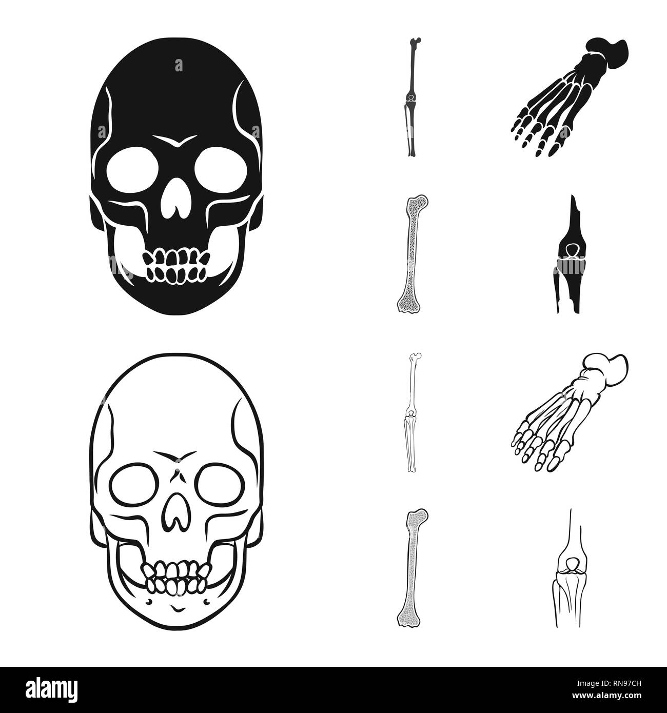 skull,knee,foot,femur,death,joint,ankle,bony,monster,meniscus,healthy ...