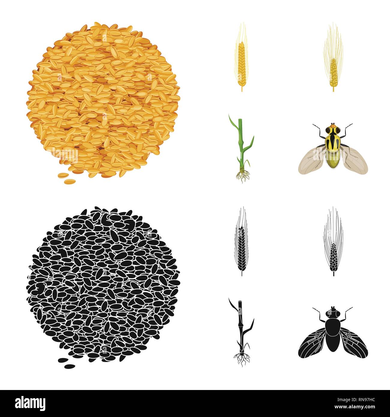 barley,stem,fly,seeds,winter,root,insect,crop,spring,pest,bread,spike ...