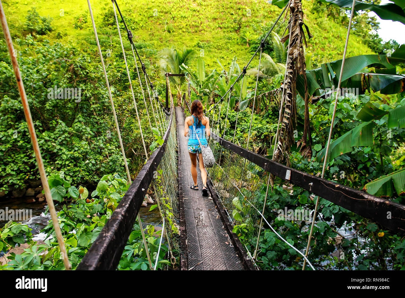 Fiji rainforest hi-res stock photography and images - Alamy