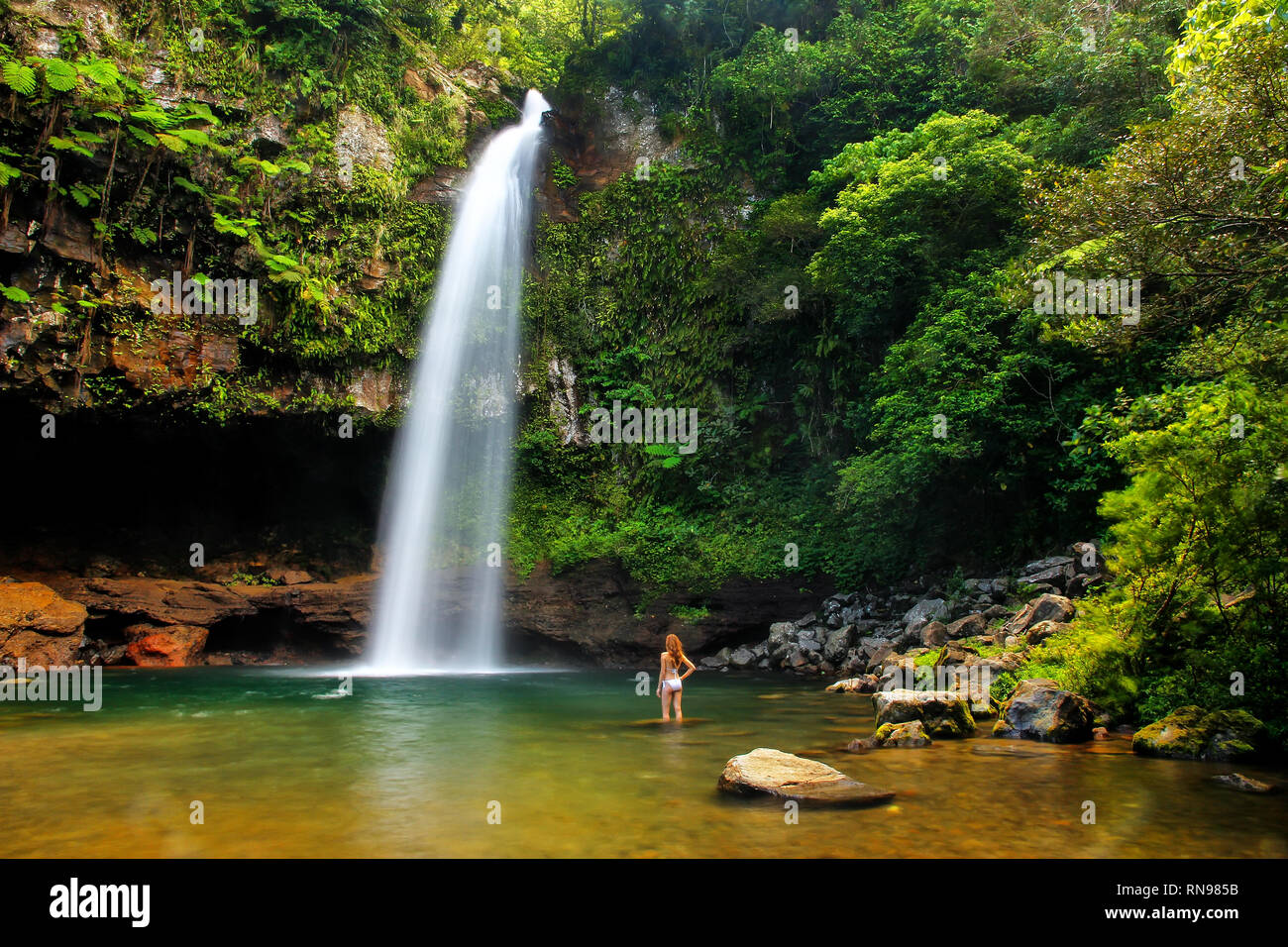 Lower Tavoro Waterfalls in Bouma National Heritage Park on Taveuni ...
