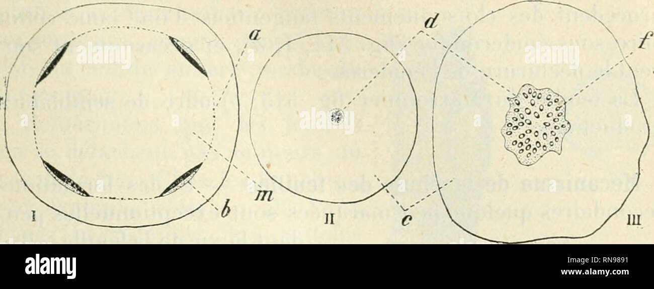 Ifera High Resolution Stock Photography and Images - Alamy