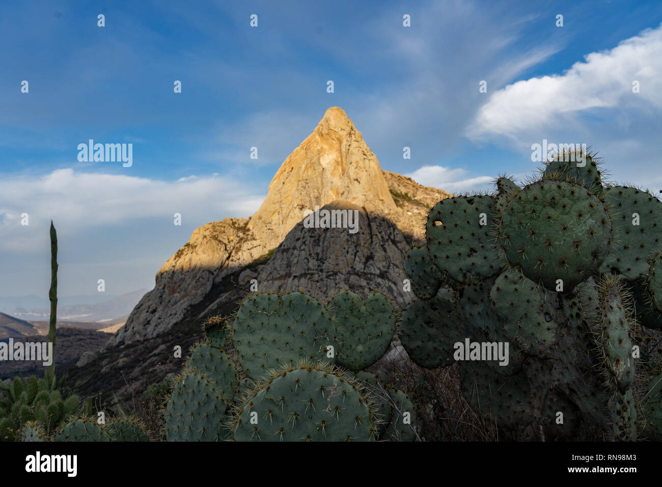 Peña de Bernal and cactus Stock Photo - Alamy