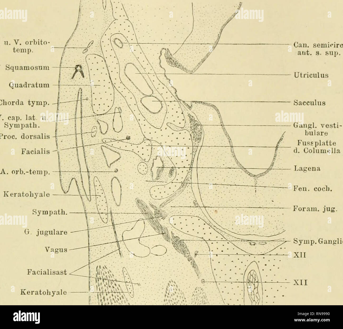 Anlegend hi-res stock photography and images - Alamy