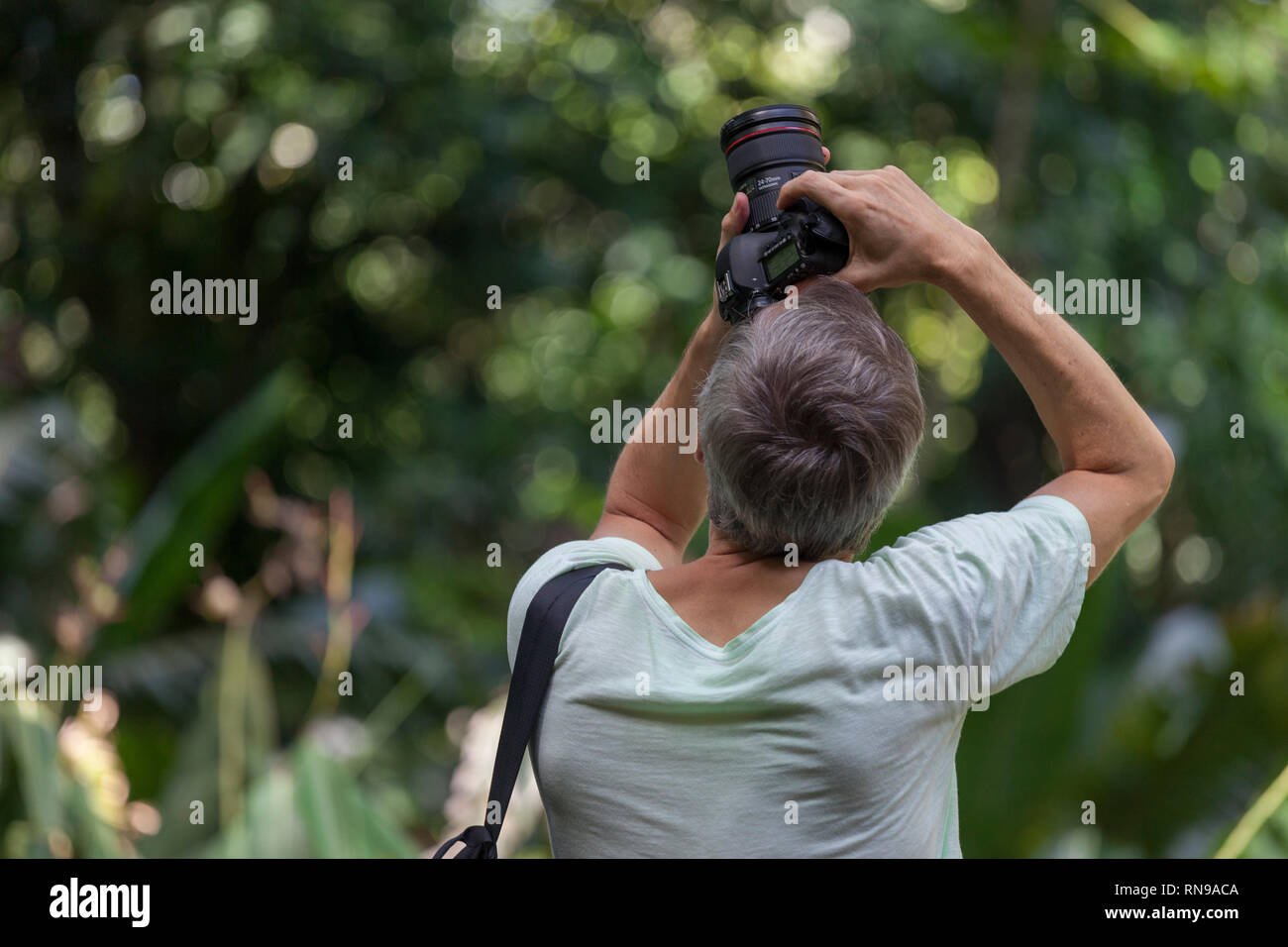 Male with a professional camera seen from the back pointing the camera ...