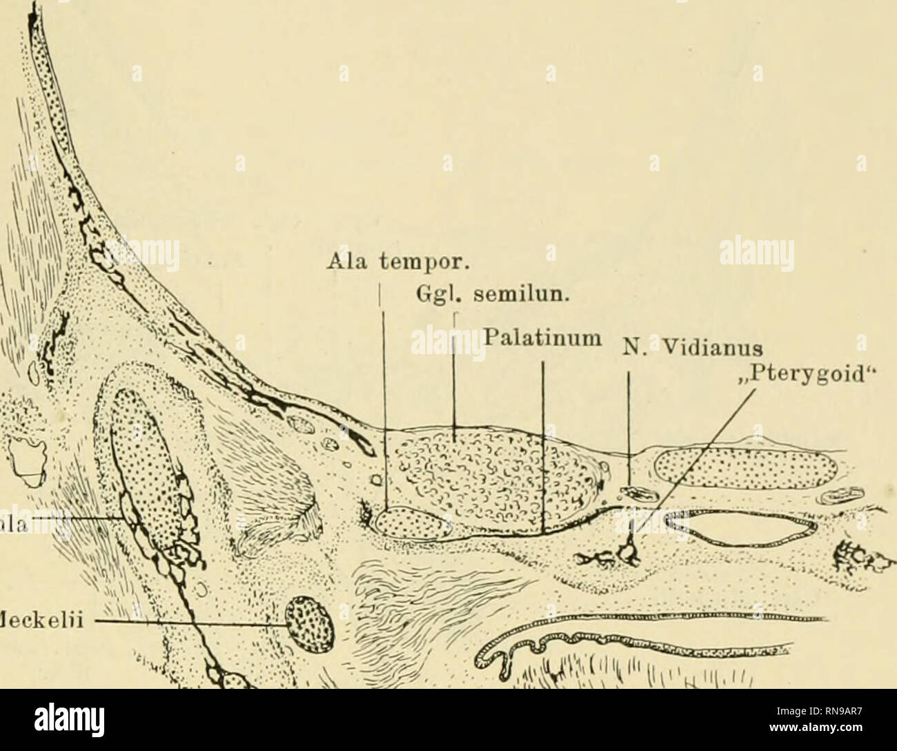 Ganze note hi-res stock photography and images - Alamy