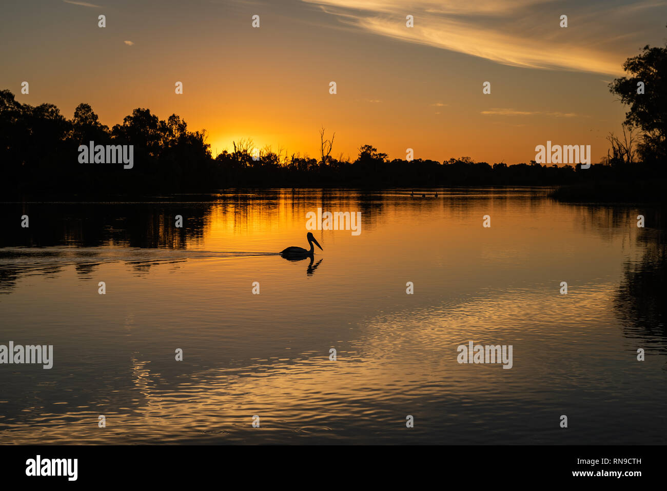 RIVER MURRAY REFLECTIONS, SOUTH AUSTRALIA Stock Photo - Alamy