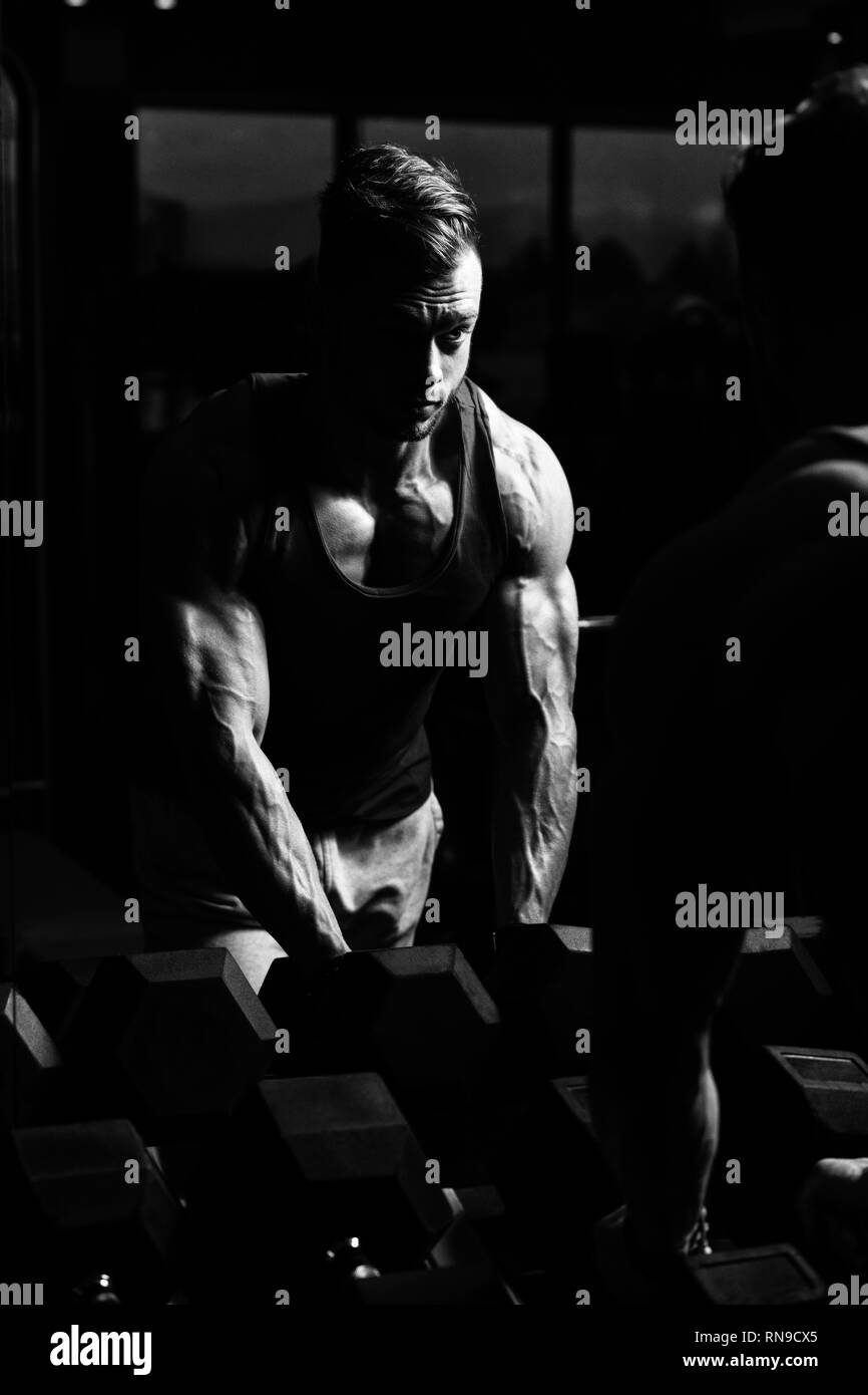Man Working Out Biceps In A Gym - Dumbbell Concentration Curls Stock ...