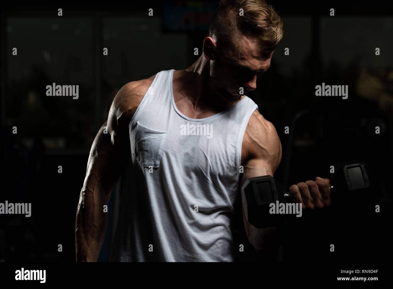 Man Working Out Biceps In A Gym - Dumbbell Concentration Curls Stock ...