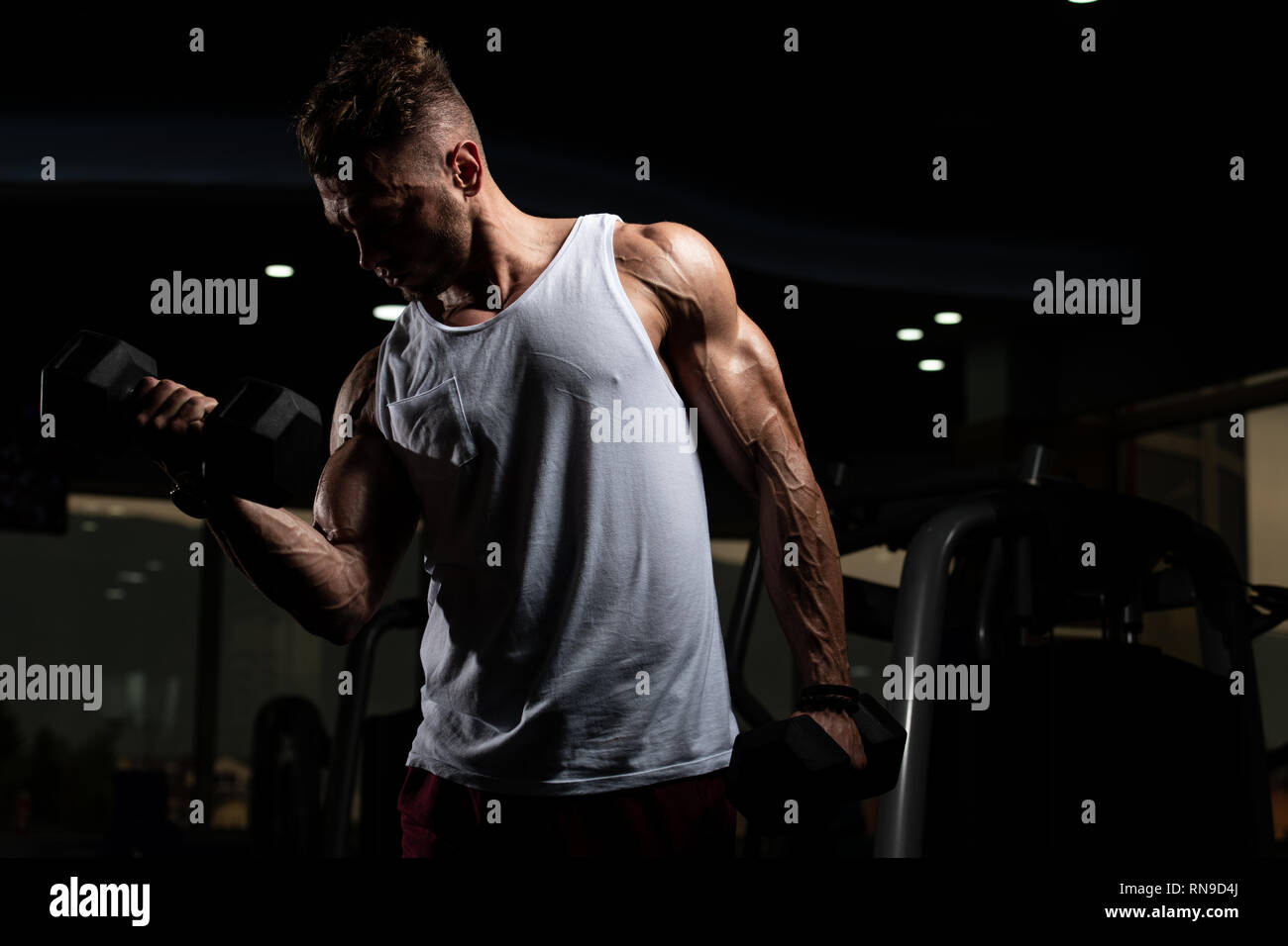 Man Working Out Biceps In A Gym - Dumbbell Concentration Curls Stock ...