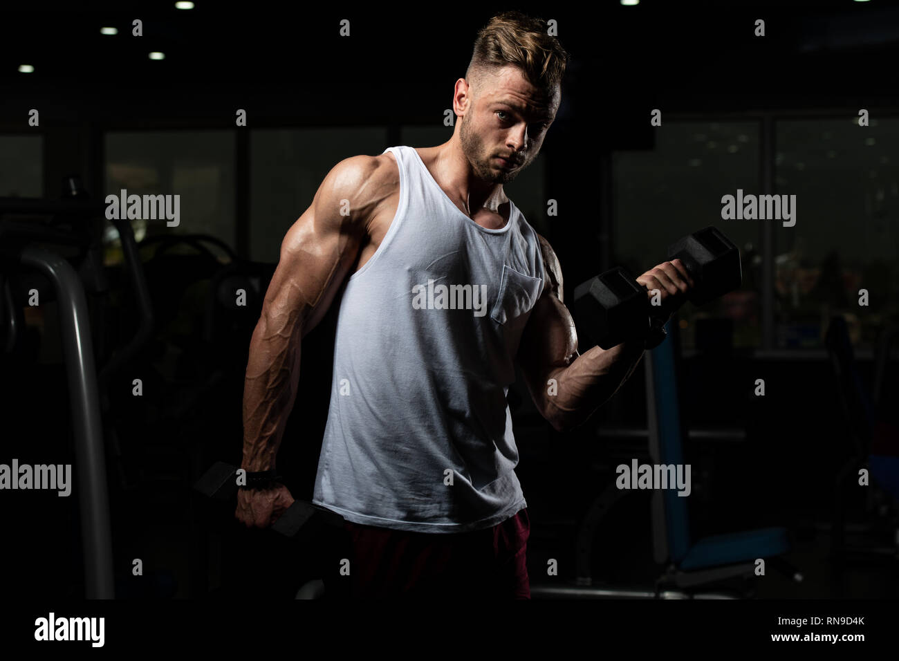 Athlete Working Out Biceps In A Gym - Dumbbell Concentration Curls ...
