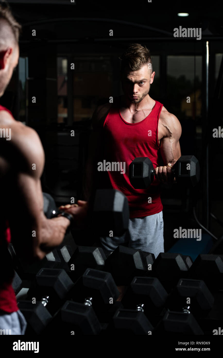 Man Working Out Biceps In A Gym - Dumbbell Concentration Curls Stock ...