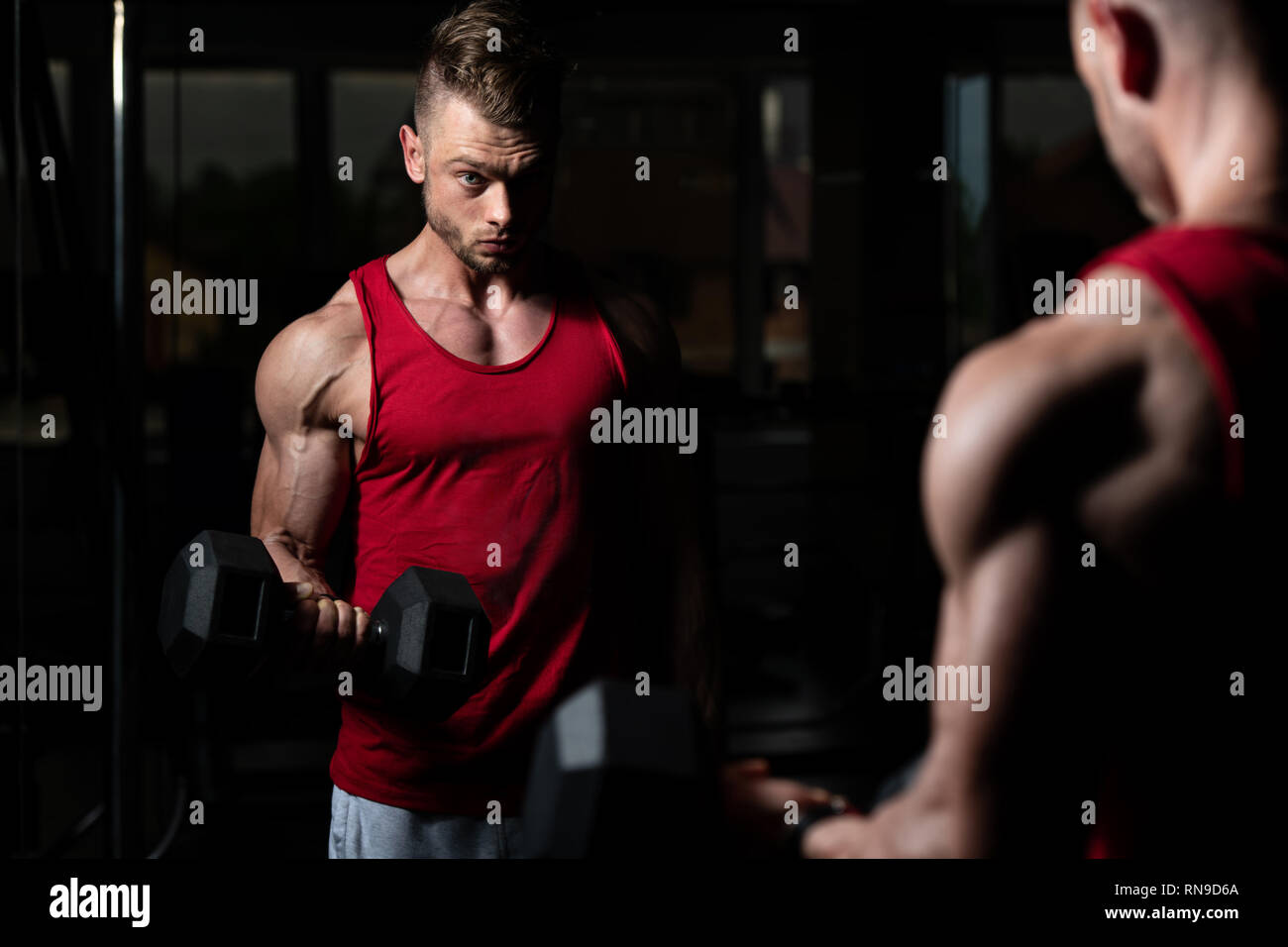 Athlete Working Out Biceps In A Gym - Dumbbell Concentration Curls ...