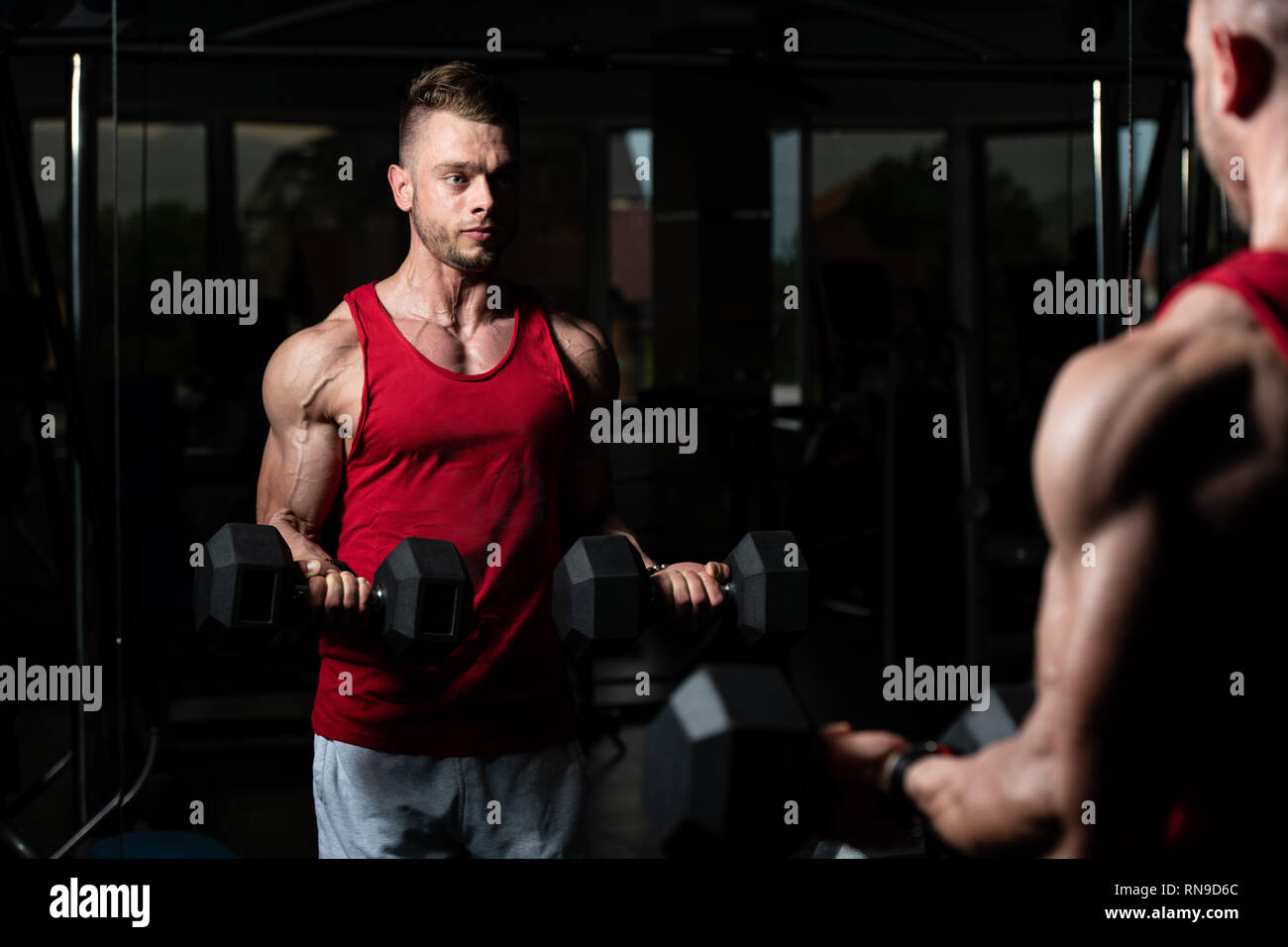 Athlete Working Out Biceps In A Gym - Dumbbell Concentration Curls ...