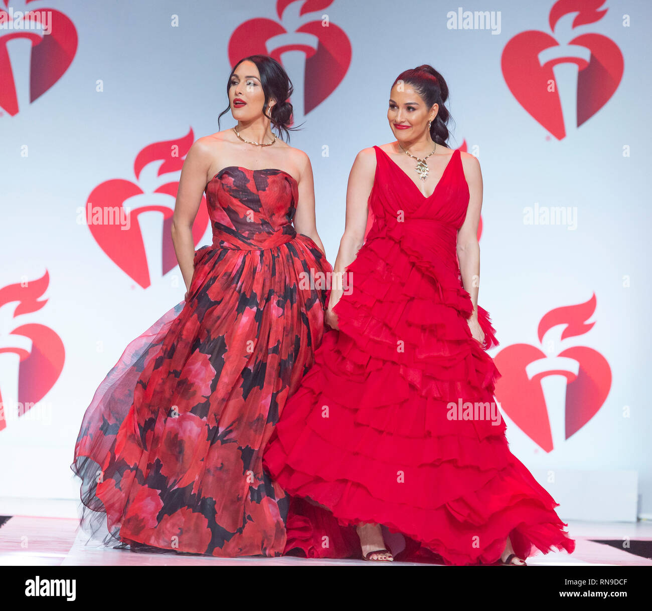 Brie bella and nikki bella hi-res stock photography and images - Alamy