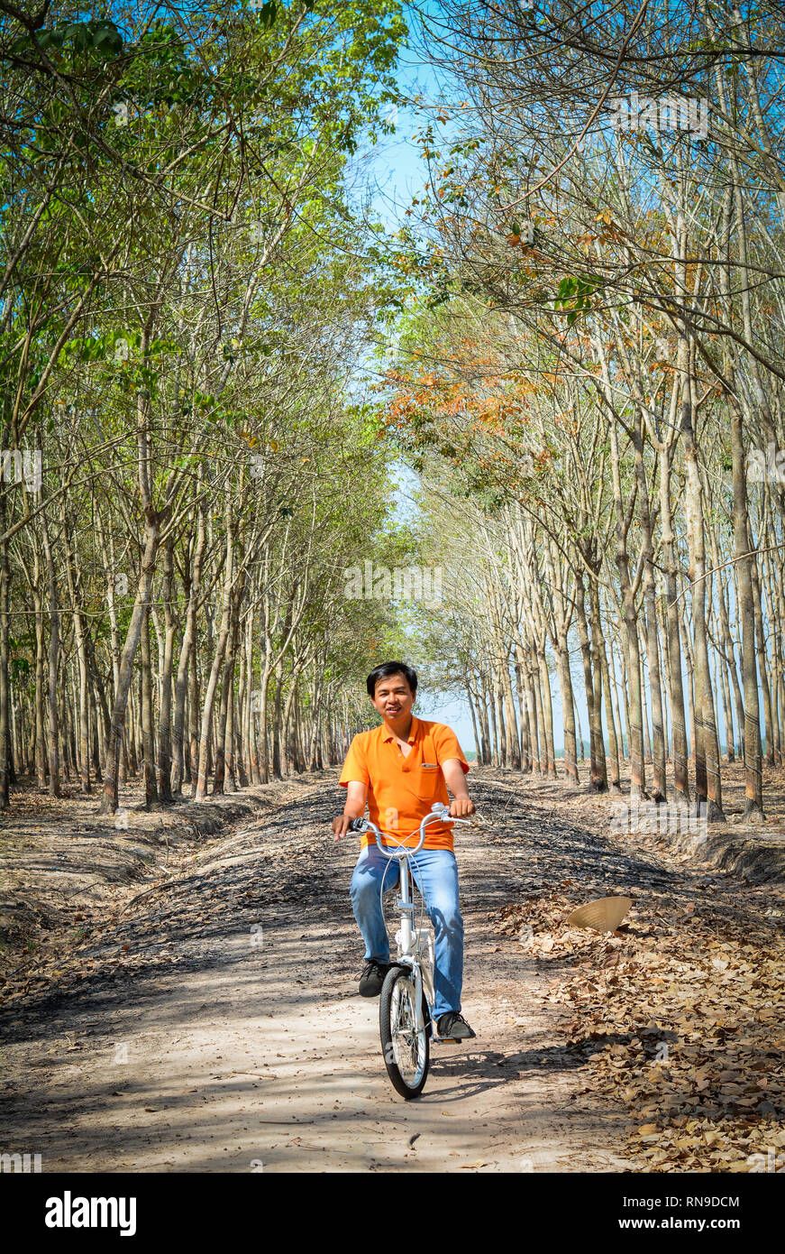 Asian man biking on trail of the rubber forest in summer day Stock ...