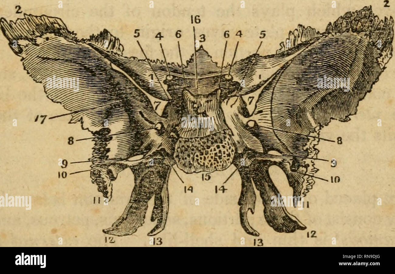 . An analytical compendium of the various branches of medical science ...