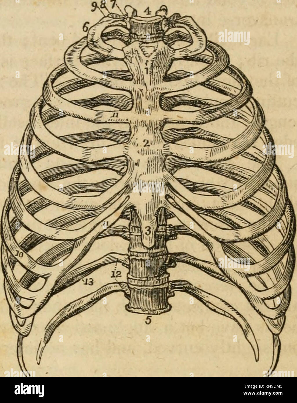 . An analytical compendium of the various branches of medical science ...