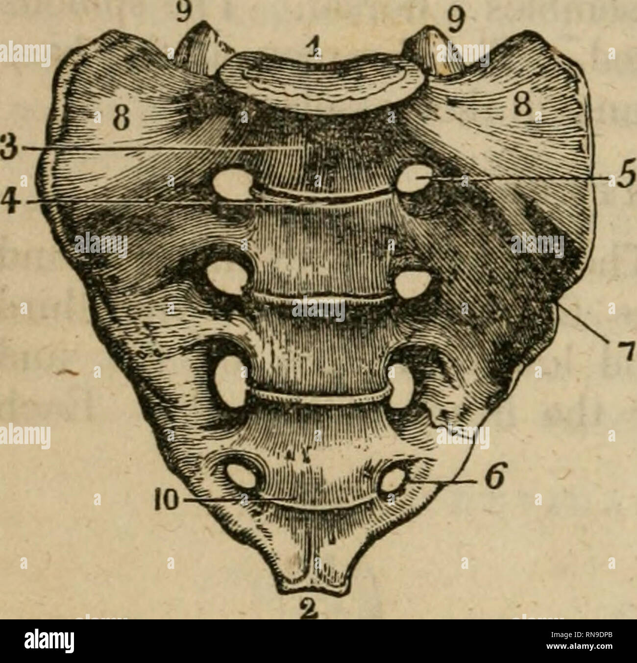 . An analytical compendium of the various branches of medical science ...