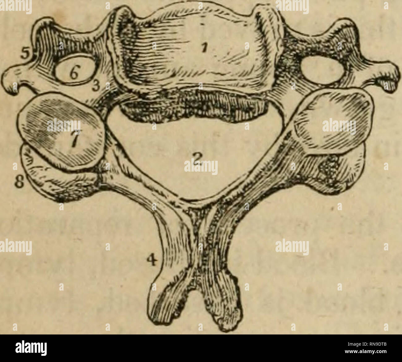 . An analytical compendium of the various branches of medical science ...
