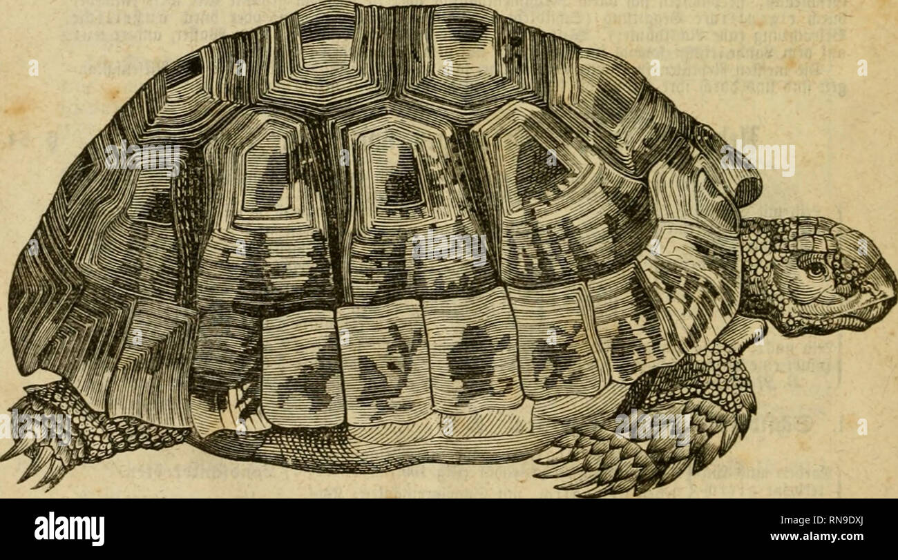 Sa nt hi-res stock photography and images - Alamy