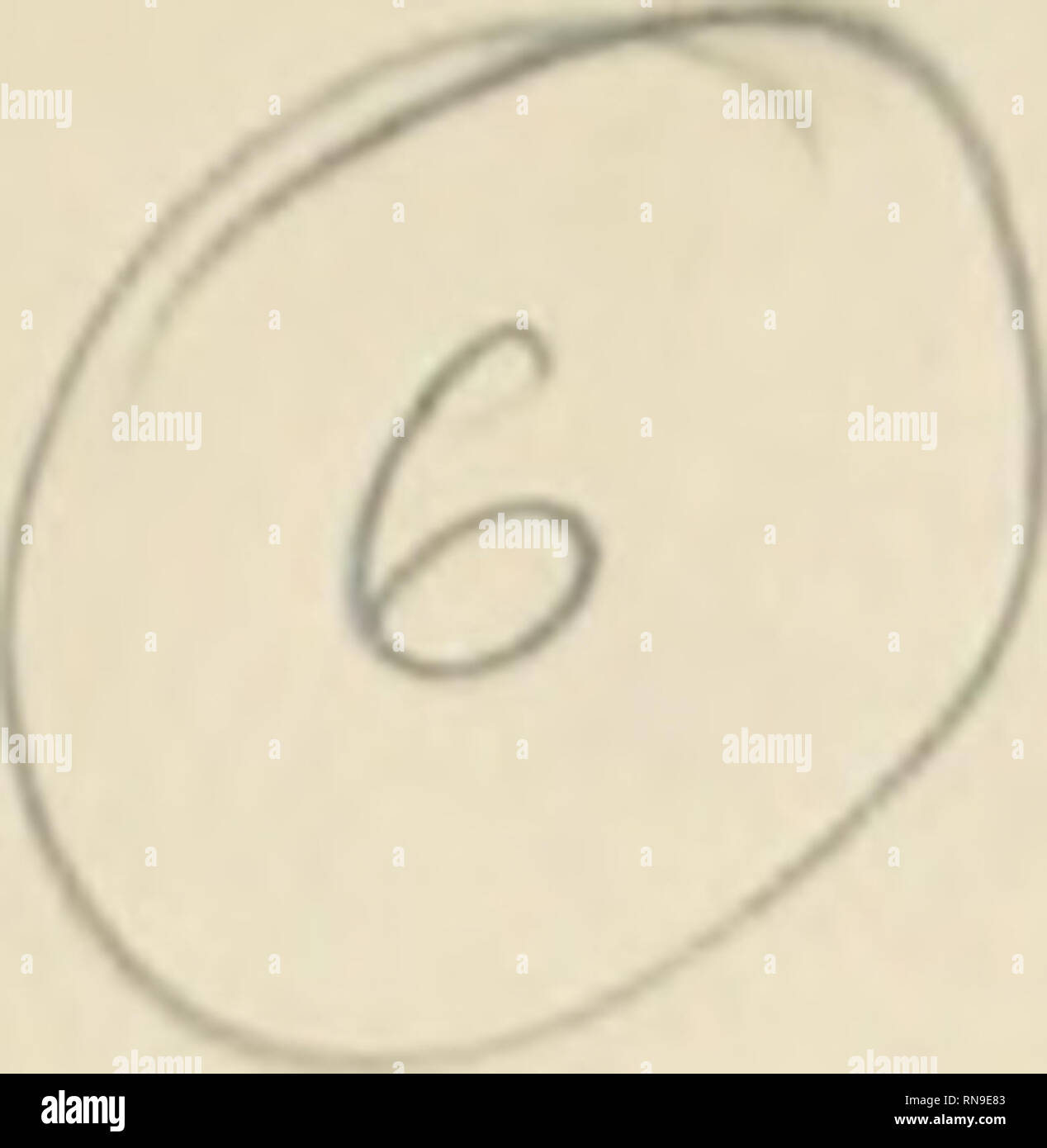 William streeter hi-res stock photography and images - Alamy