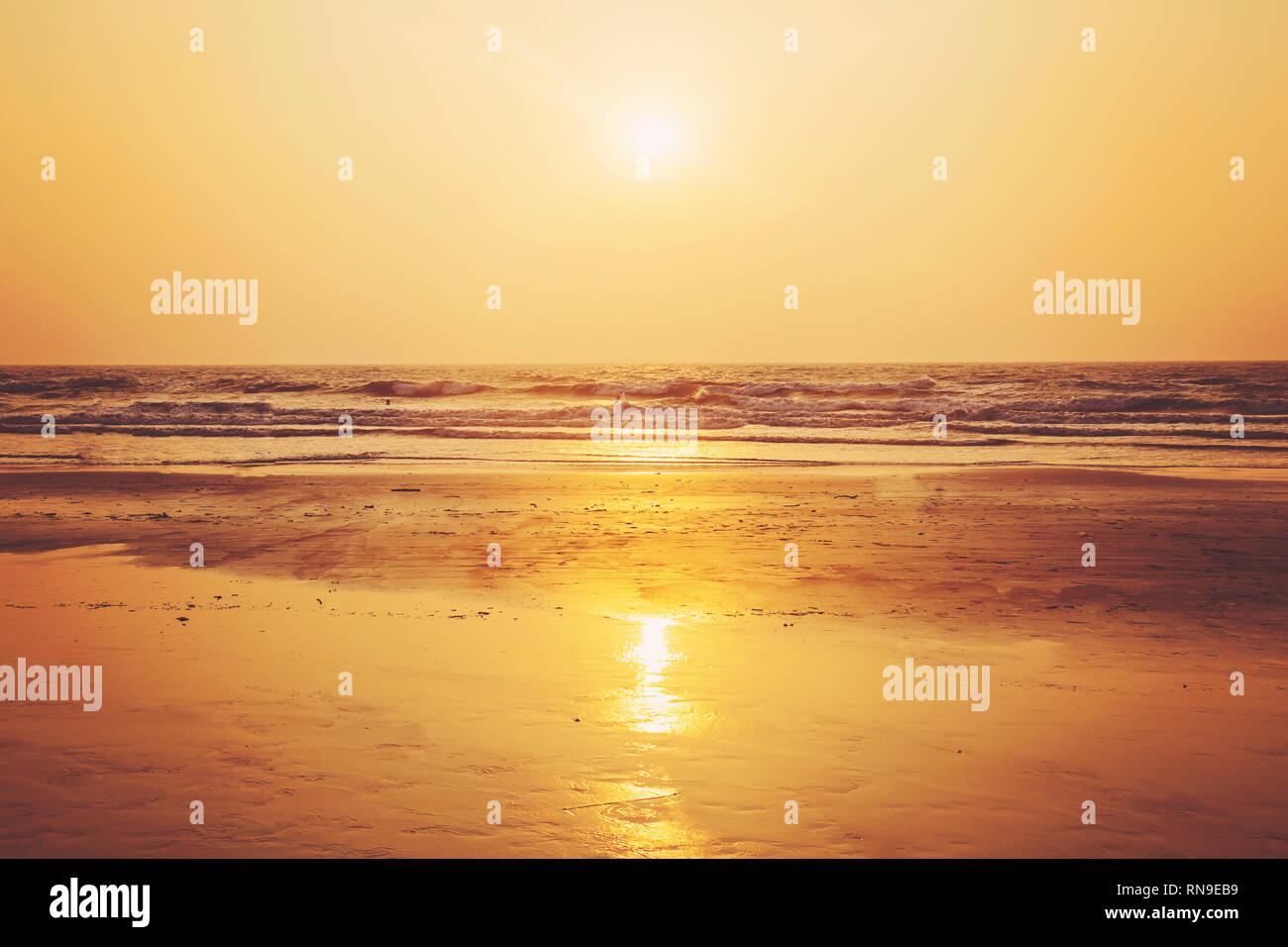 Golden sunset above the sea Stock Photo - Alamy