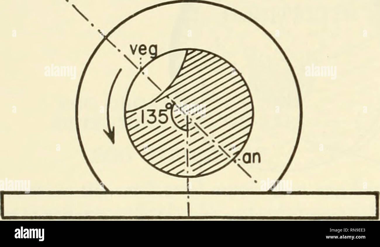 . Analysis of development. Embryology; Embryology. 232 Embryogenesis ...