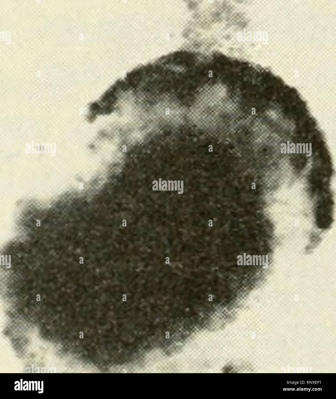 . Analysis of development. Embryology; Embryology. c d Fig. 57 ...