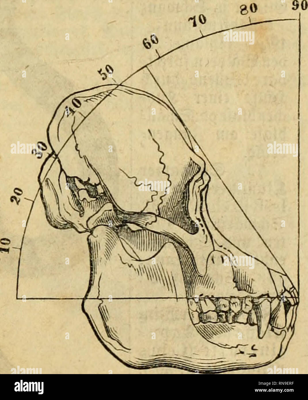 20 unterricht hi-res stock photography and images - Alamy