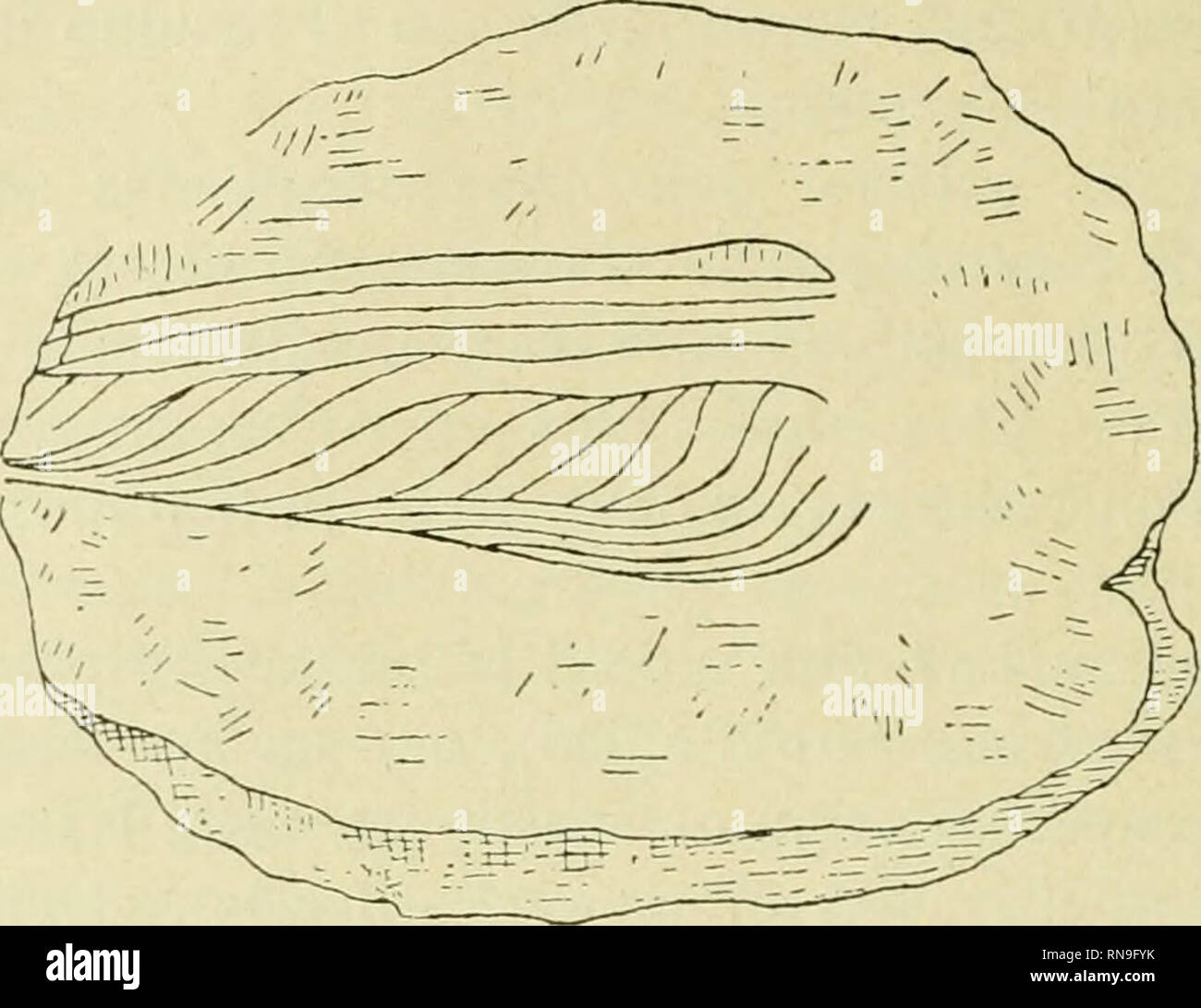 Origen de las palabras hi-res stock photography and images - Alamy