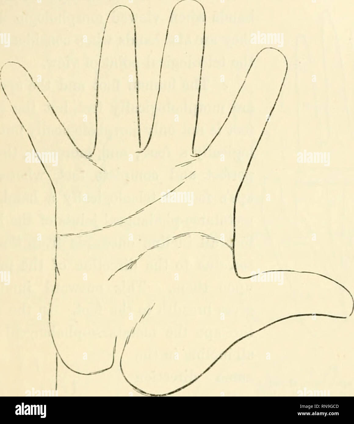 . The anatomical memoirs of John Goodsir. Anatomy. THE UPPER LIMB IN ...