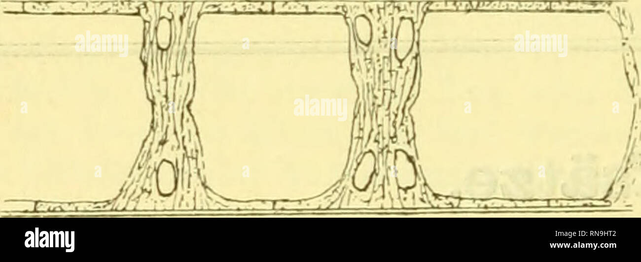 Tissu en saillie de hi-res stock photography and images - Alamy