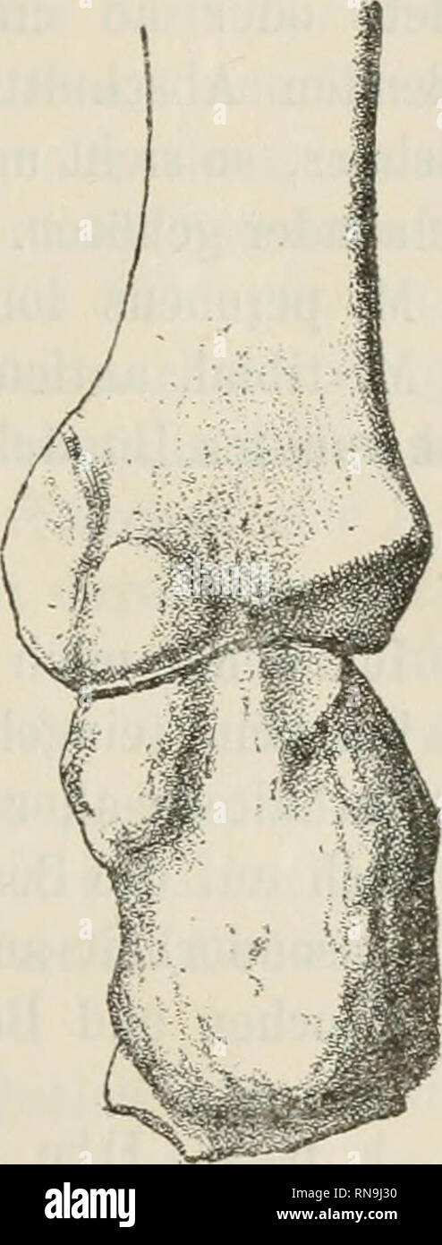 Keils hi-res stock photography and images - Alamy