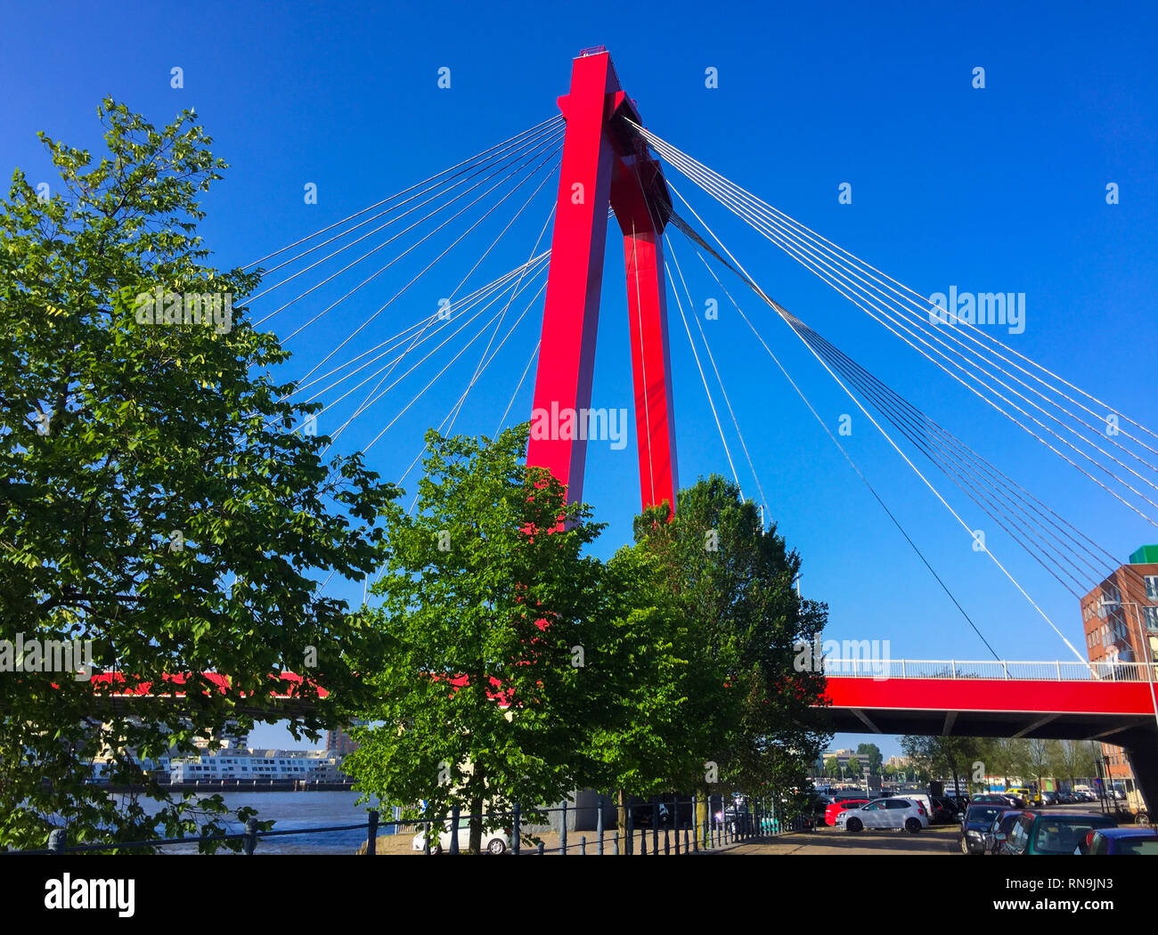 Red pylon and cables of Willemsbrug bridge spanning the Nieuwe Maas ...
