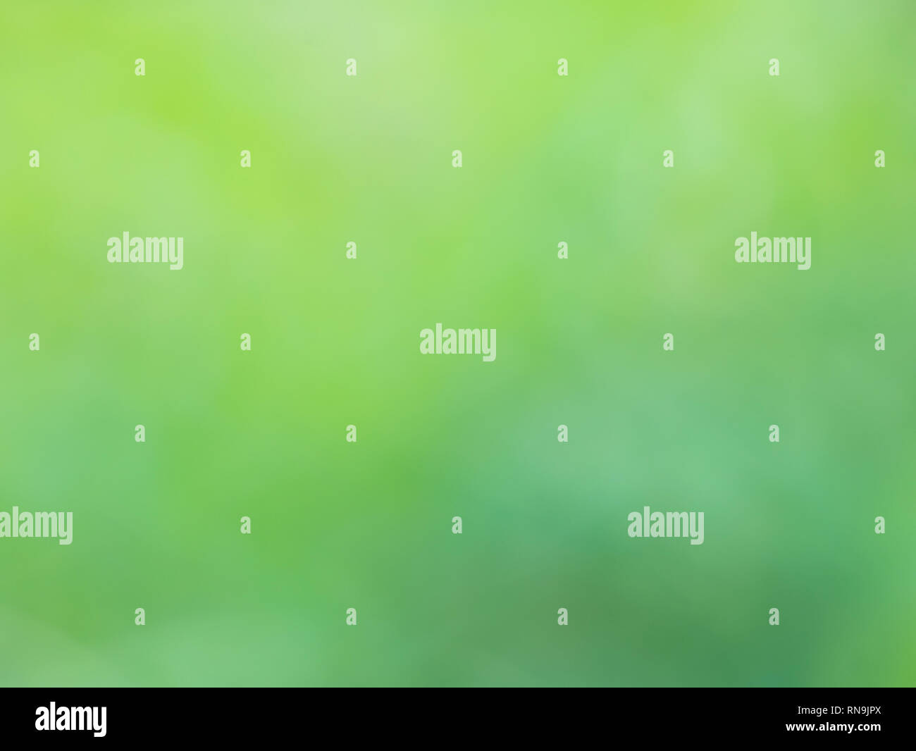 Abstract in nature hi-res stock photography and images - Alamy
