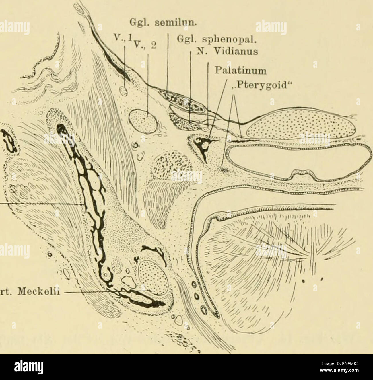 Ala cart hi-res stock photography and images - Alamy