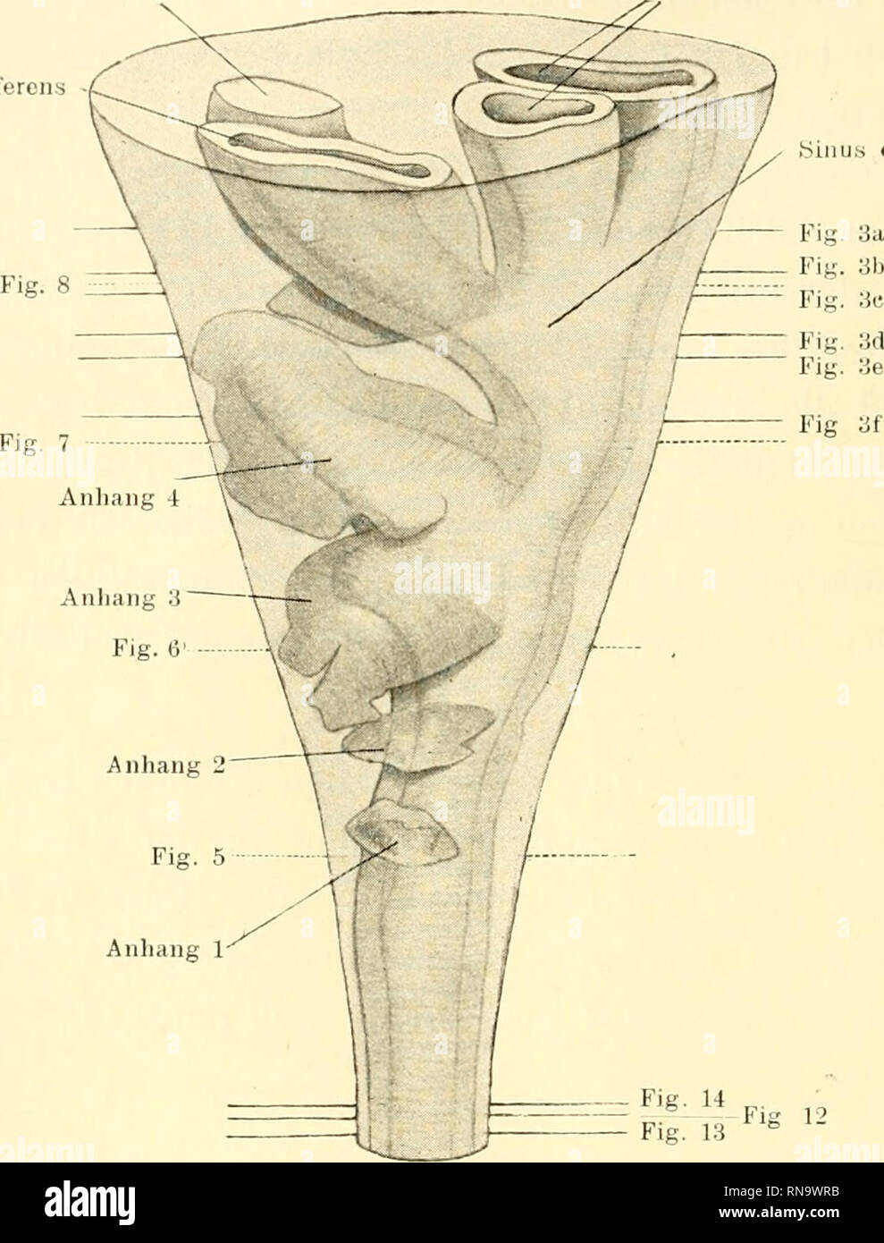 Ejac hi-res stock photography and images - Alamy