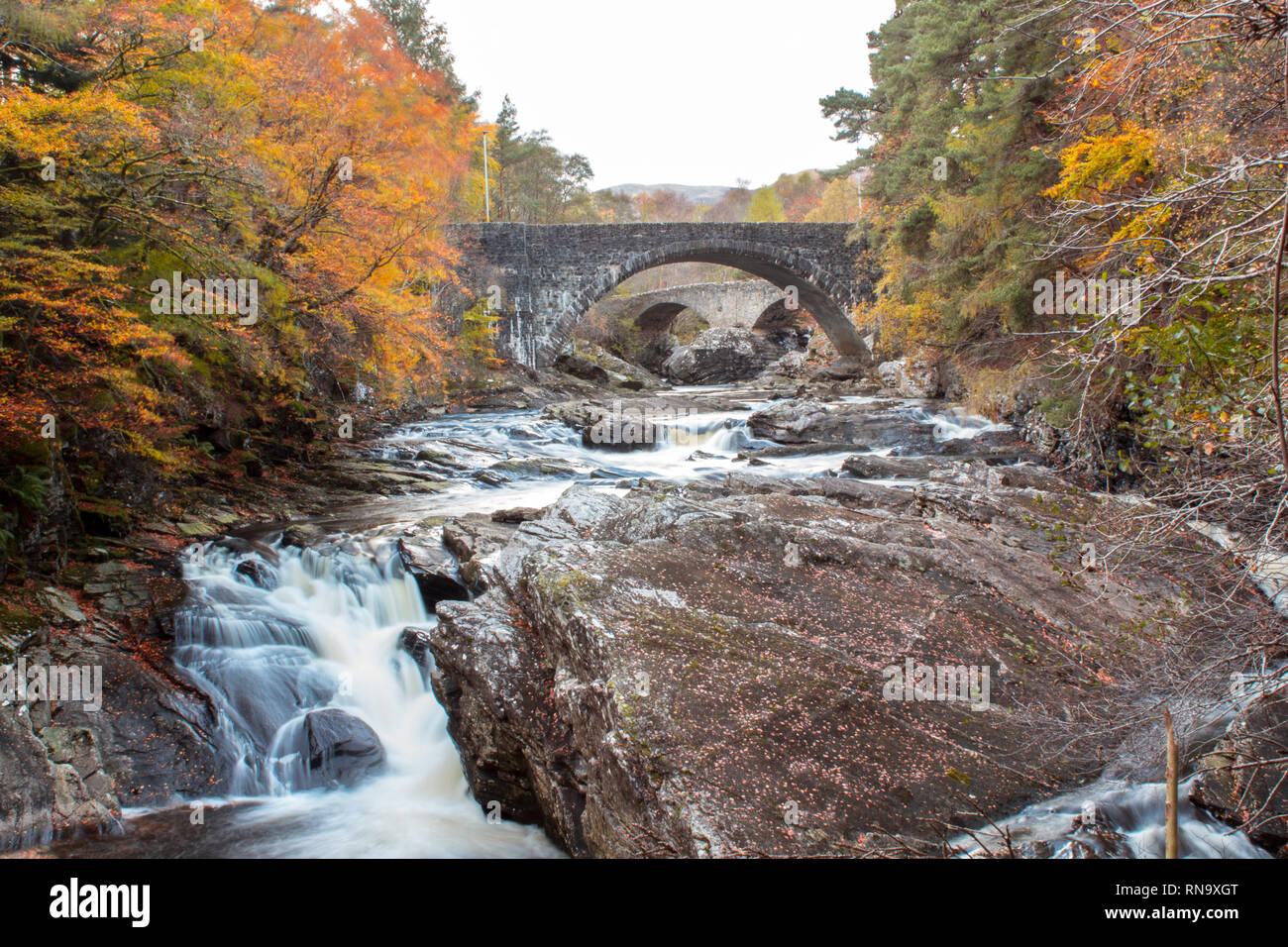 Tree arch over water hi-res stock photography and images - Alamy