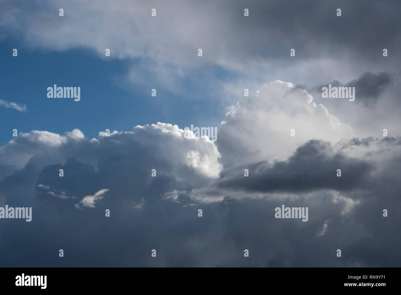 Dramatic sunlit cumulus clouds, white and gray thunderclouds lit by the ...
