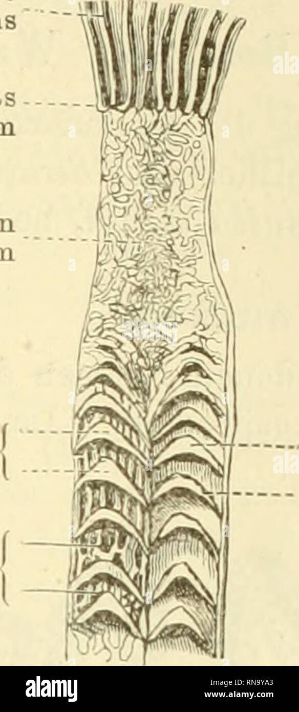 Vom netz gehen hi-res stock photography and images - Alamy