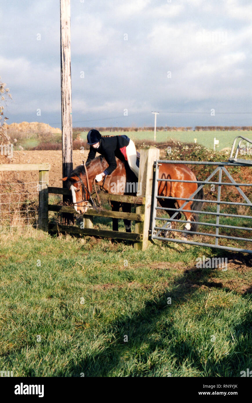 Last Hunt of the Season for the Pelham Fox Hounds Stock Photo - Alamy