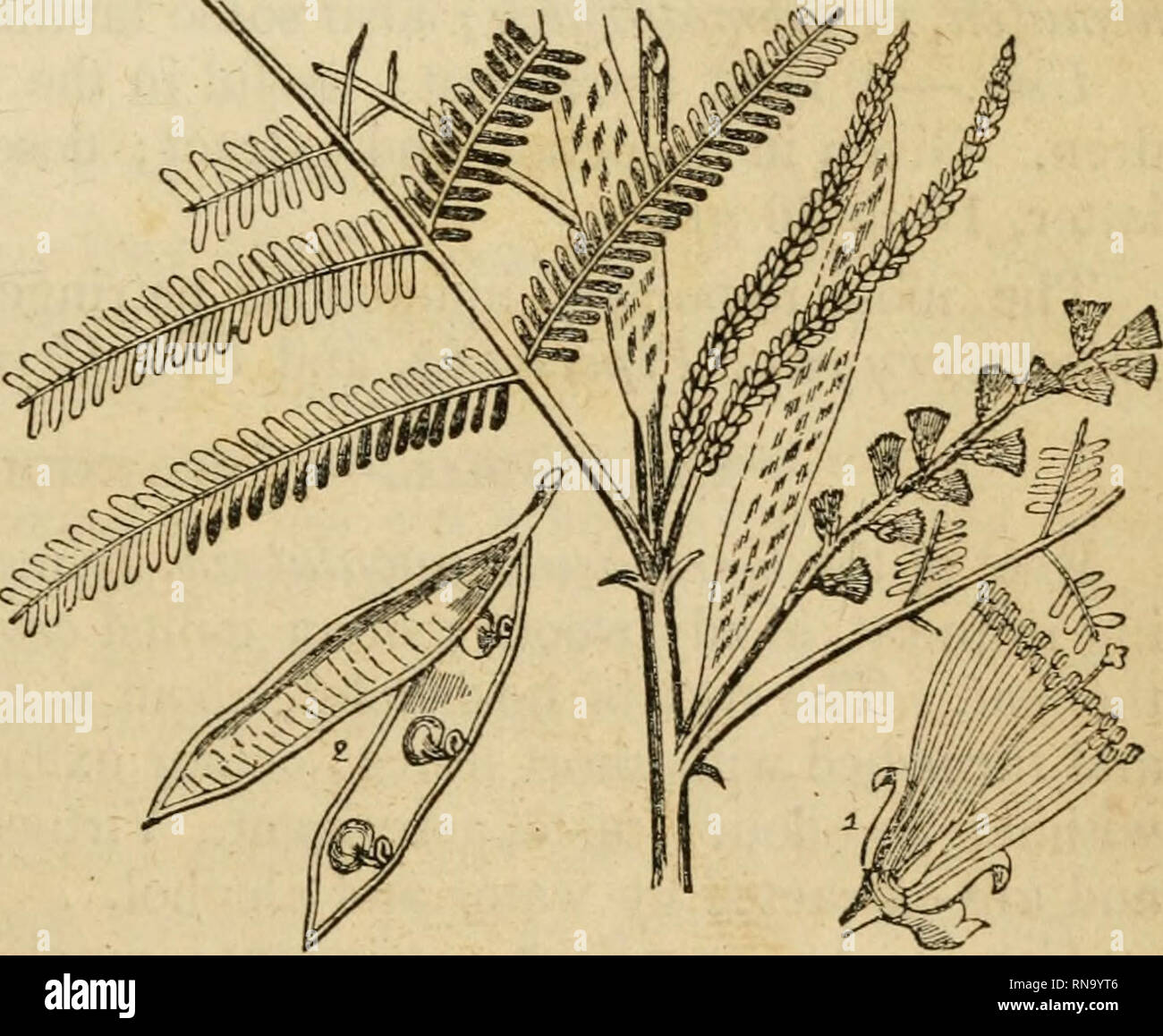 Caraccas bay hi-res stock photography and images - Alamy