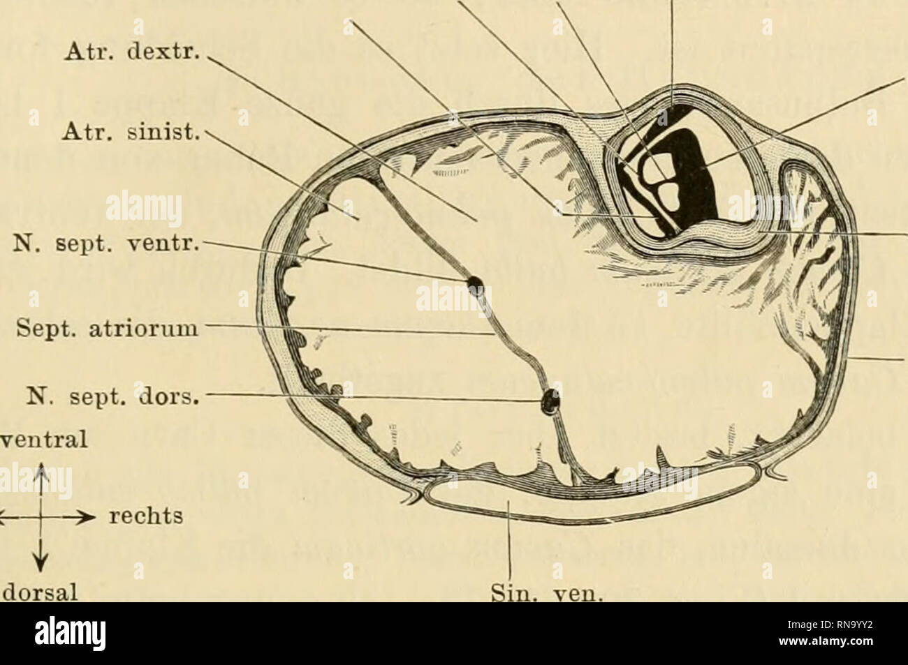 Sinist hi-res stock photography and images - Alamy