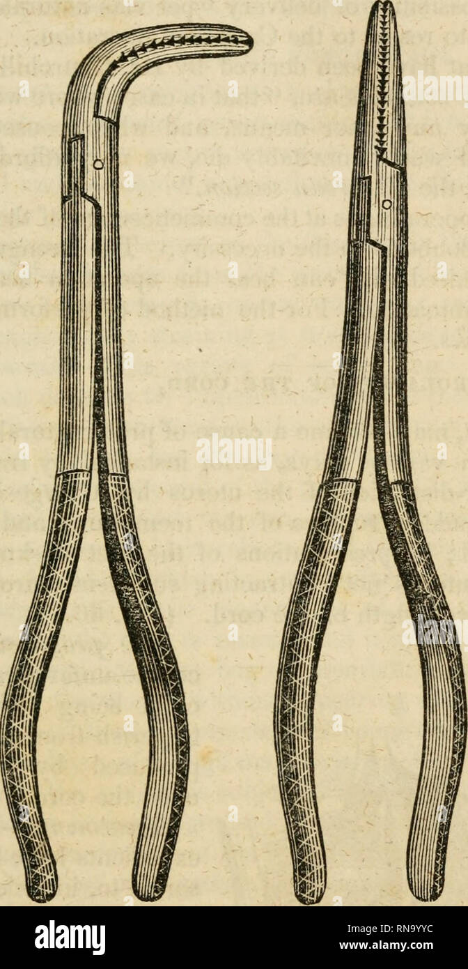 Blunt forceps hi-res stock photography and images - Alamy