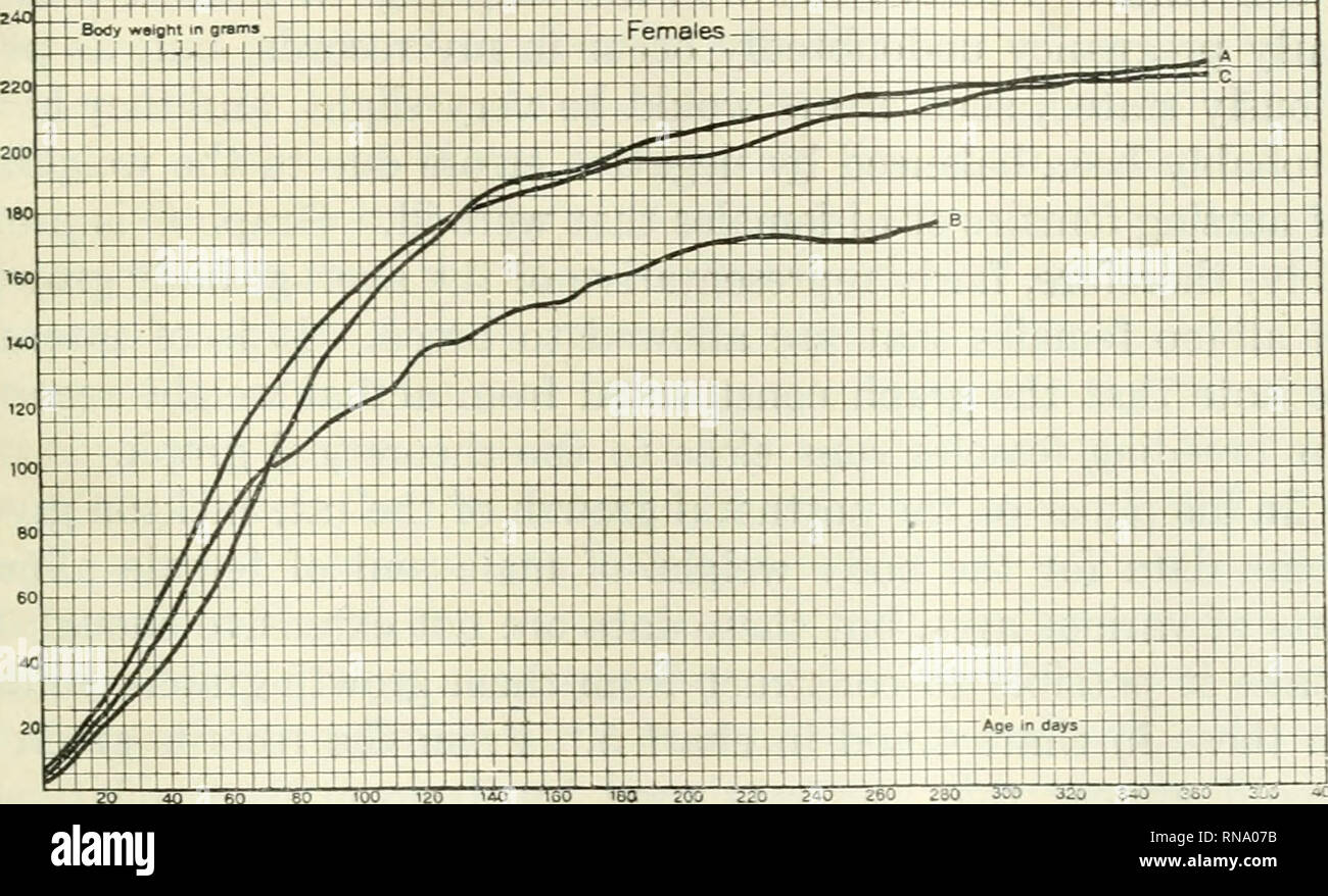 . The anatomical record. Anatomy; Anatomy. GROWTH AND VARIABILITY IN ...