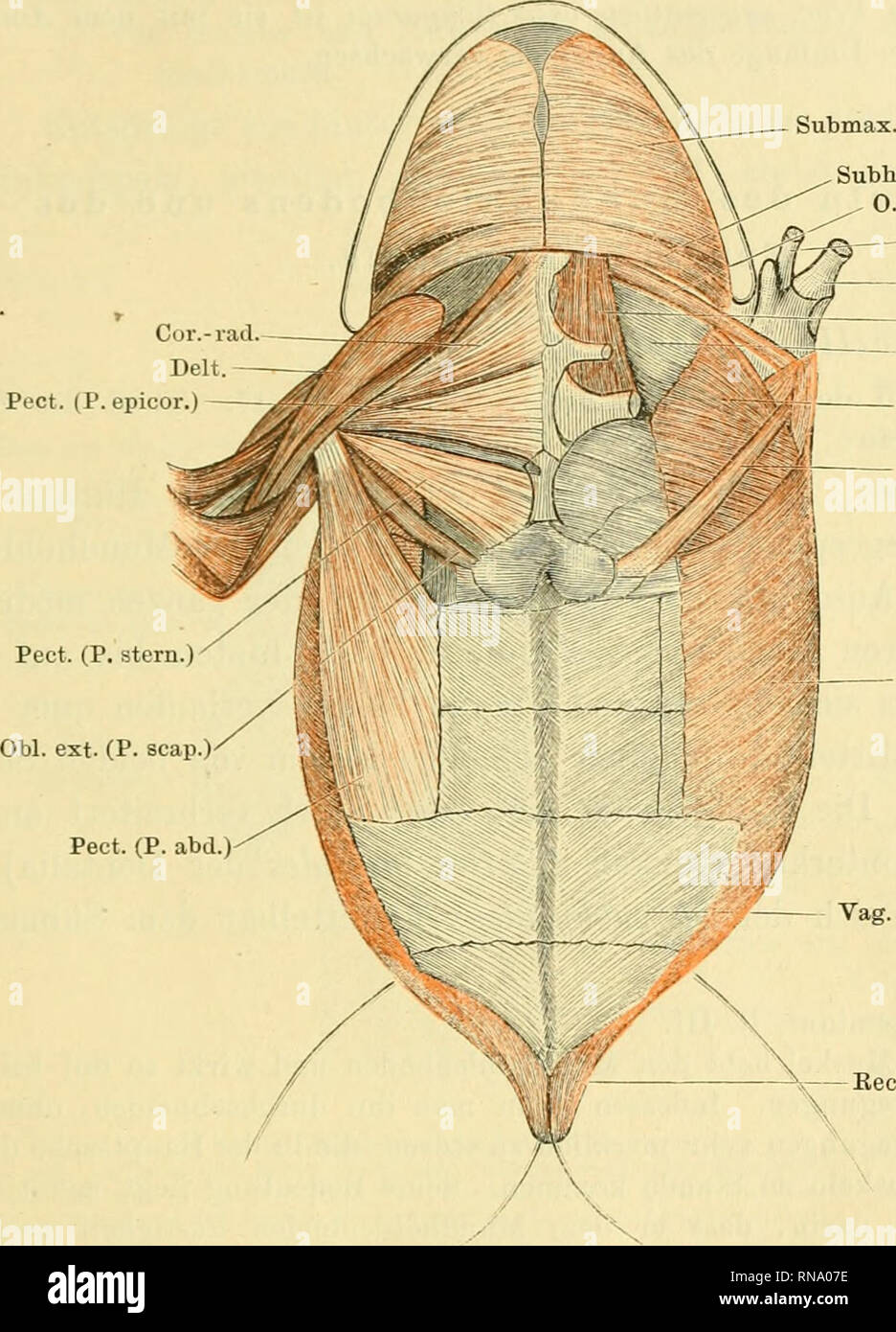 Vag rad hi-res stock photography and images - Alamy